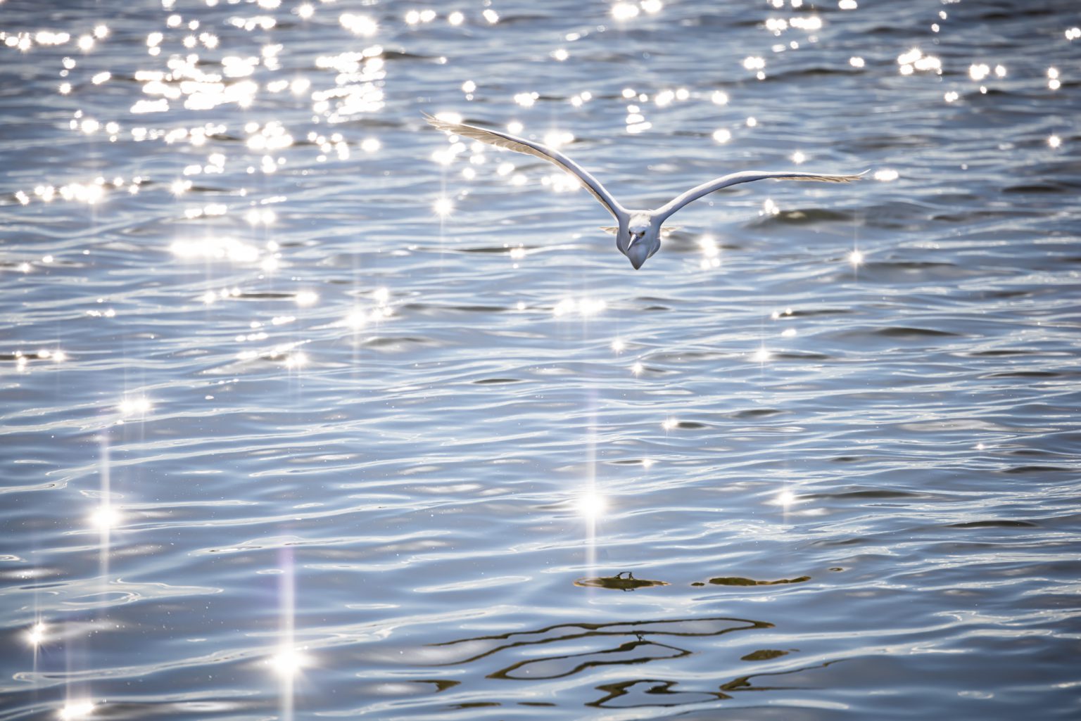 Brett Morrison - The official web site of Brett Morrison